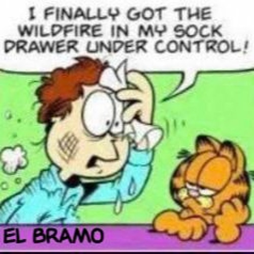 Stream Wildfire In My Sock Drawer by El Bramo | Listen online for free ...