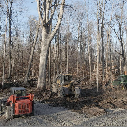 Stream episode Sustainability Now! | Andy Mahler & Kari Nolan | Protect ...