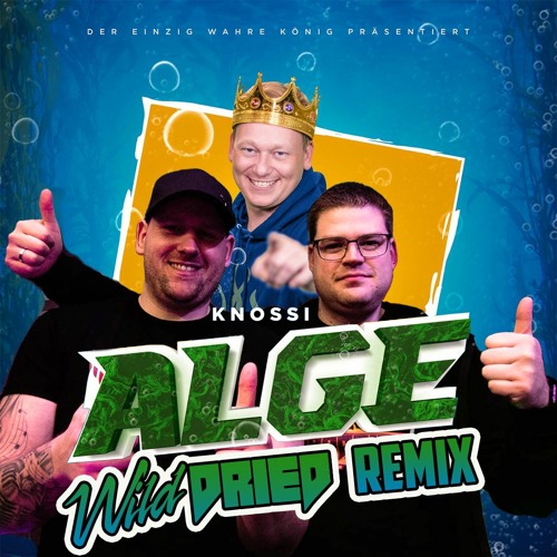 Stream Knossi - Alge (Wilddried Remix) by Harddried | Listen online for ...