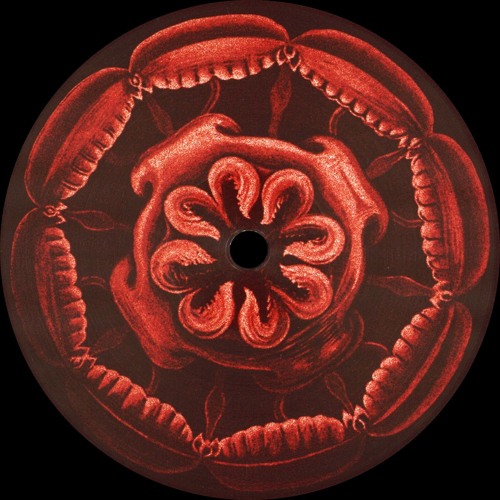 Stream Nick Beringer — Clover [AKU025] by soundBots | Listen online for ...