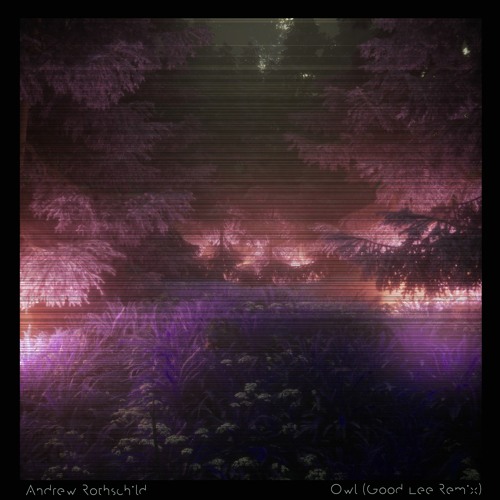 Stream Good Lee | Listen to Northern Form - Owl (Good Lee Remix ...