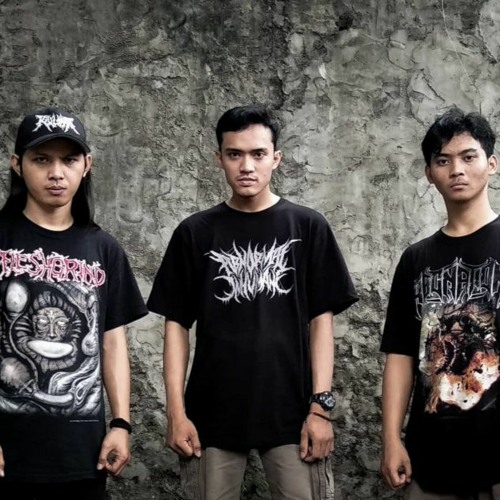 Listen to playlists featuring #181 - Acârash, Decayed Flesh, Madrost ...