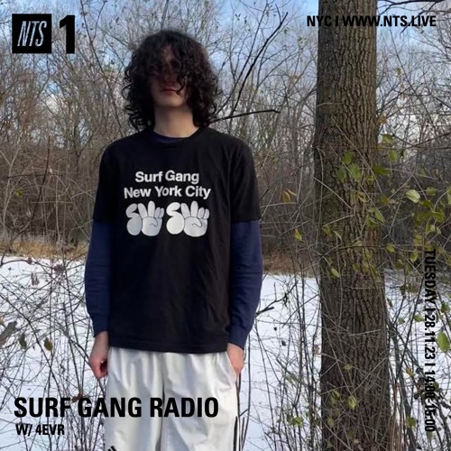 Stream NTS SURF GANG RADIO W/ 4EVR by surf gang | Listen online for ...