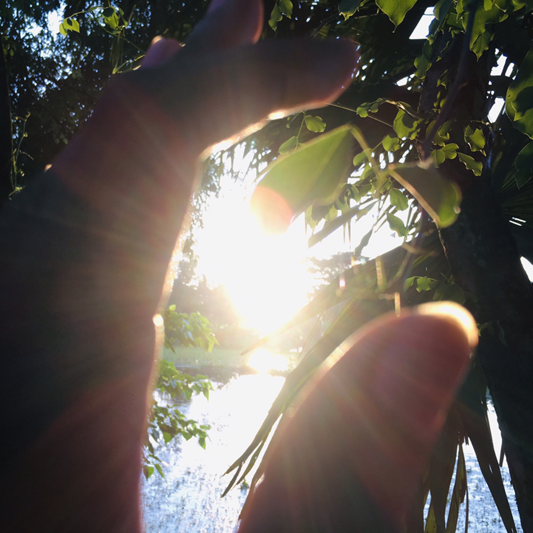 Stream Hafsah Tarar | Listen to 29 imam feysal playlist online for free ...