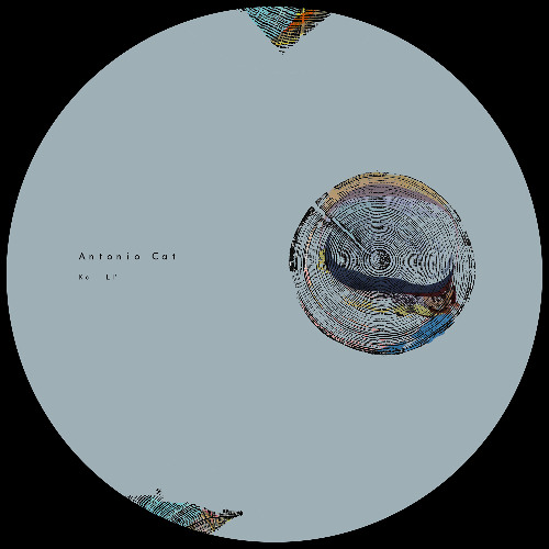 Stream PREMIERE : Antonio Cat - Kat by Psicodelica | Listen online for ...