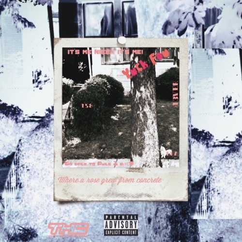 Stream EMCEE by FLEX OXB (IG:@flexo_xb) | Listen online for free on ...