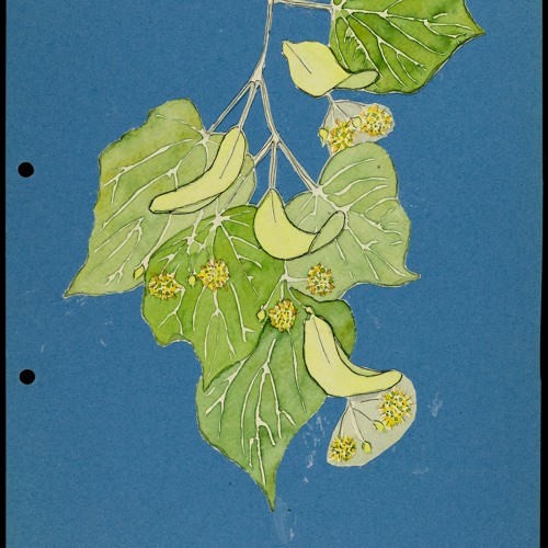 Stream Southbank Centre Audio Guides | Listen to Art by Post: Poems for ...