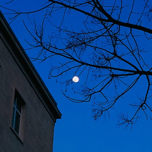 Stream Nothing But A Fantasy by DominaPetra | Listen online for free on ...