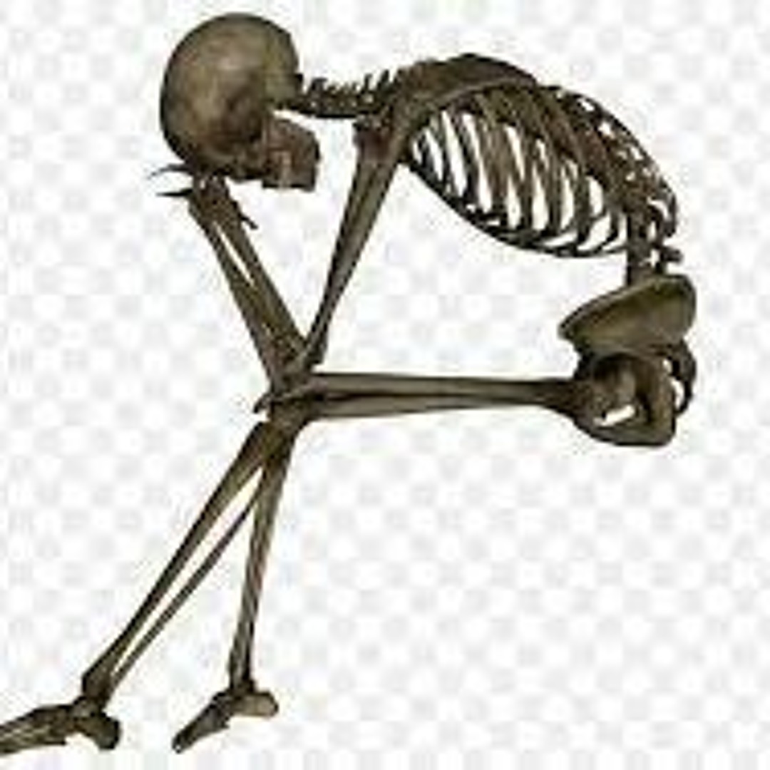 Stream i'm not alex g, and ur not sarah by wifiskeleton | Listen online ...