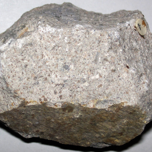 Stream OPPZ! by YOUNG TWIN | Listen online for free on SoundCloud