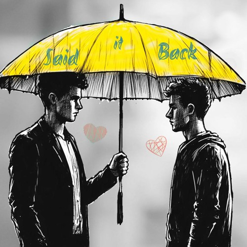 Stream Said It Back 2.0 by Neil Staines | Listen online for free on ...