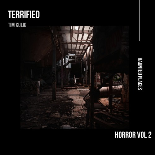 Stream Chased By A Demon by Tim Kulig Free Music | Listen online for ...