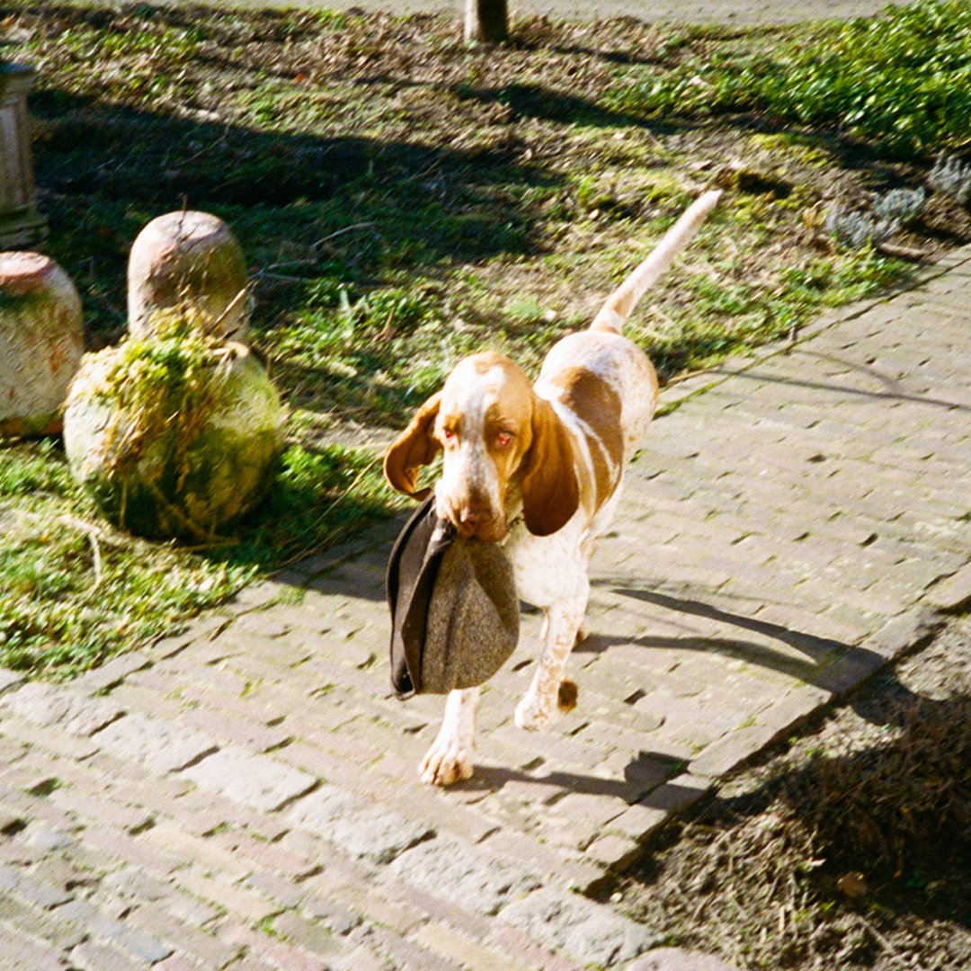 Stream Bakermat - Good Feeling (feat. Rhys Lewis) by Bakermat | Listen ...