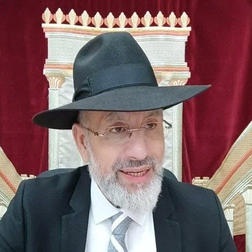 Stream La Torah et ses merveilles by Rav David Touitou | Listen online ...
