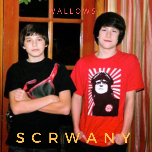 Stream Wallows - Scrawny (Radiodotcom Acustic Live) by Wallows Brasil ...