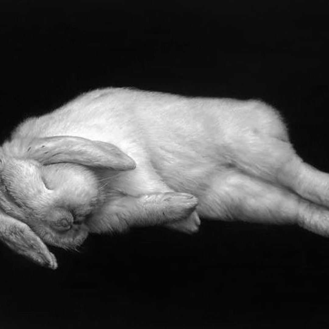 Stream arizonaemo | Listen to Crystal castles playlist online for free ...