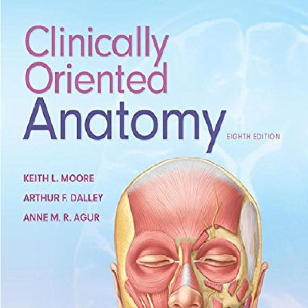 Stream [DOWNLOAD]⚡PDF Clinically Oriented Anatomy from lazedogy ...