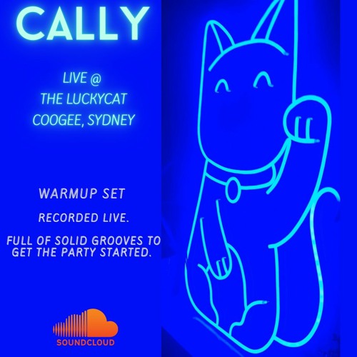 Stream Warm up Grooves Live in Sydney by Callyy | Listen online for ...