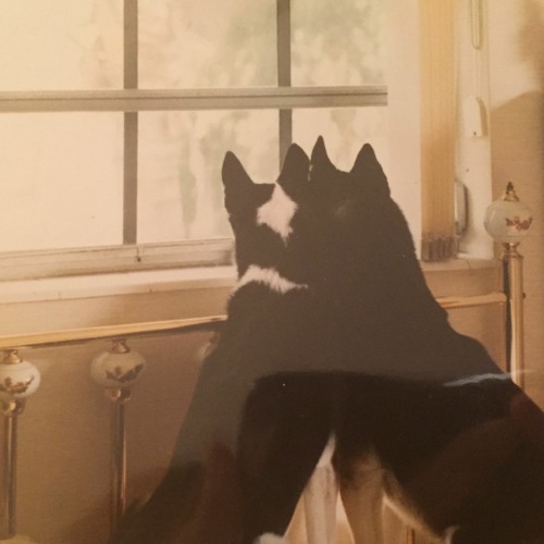 Stream Say I Haven't Lost It All (full version) by Vania Junco | Listen ...