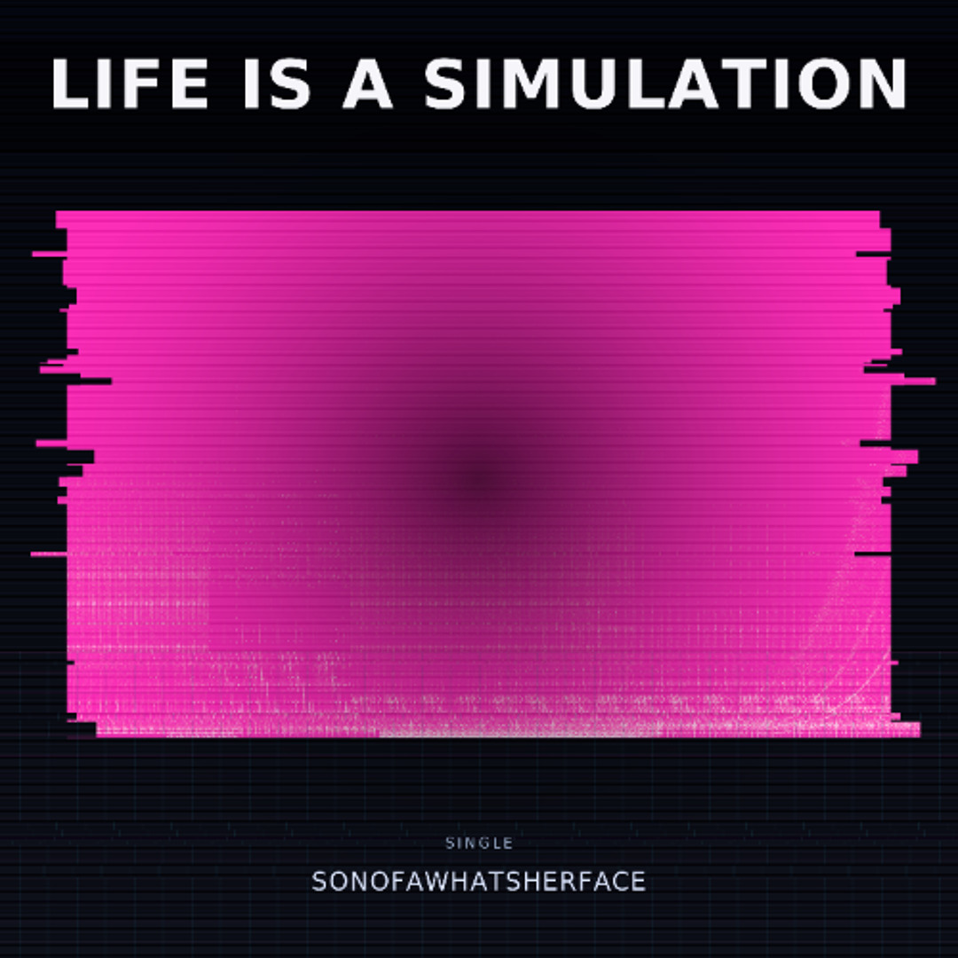 Stream Life Is A Simulation by Sonofawhatsherface | Listen online for ...