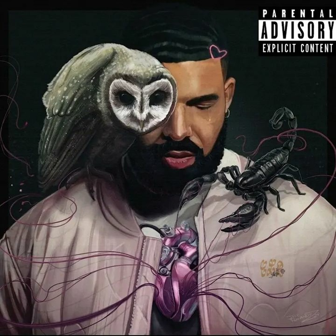Stream Drake feat. Roddy Ricch - In The Cut 🦉 by TOP GUNNA 🎯 | Listen ...