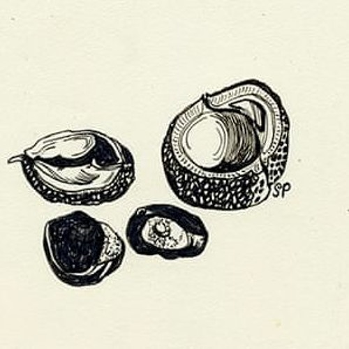 Stream Four Songs from the Bell Jar, for soprano and ensemble (2022) by ...