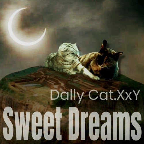 Stream SWEET DREAMS by Dally Cat.XxY | Listen online for free on SoundCloud
