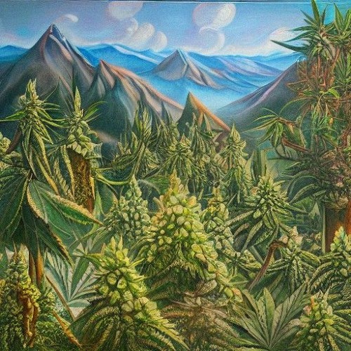 Stream Drugsinmybody By Dj Yokai Listen Online For Free On Soundcloud