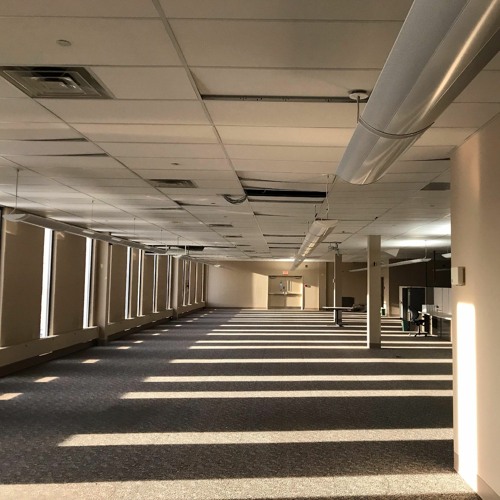 Stream RoY | Listen to Liminal office playlist online for free on ...
