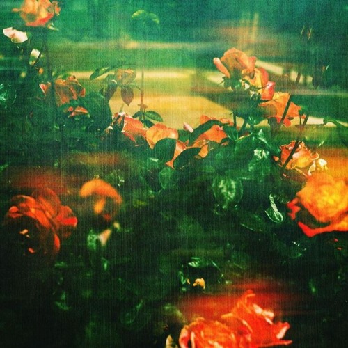 Stream "FLOR" ~ SZA x FRANK OCEAN TYPE BEAT by Paco LaProd | Listen ...