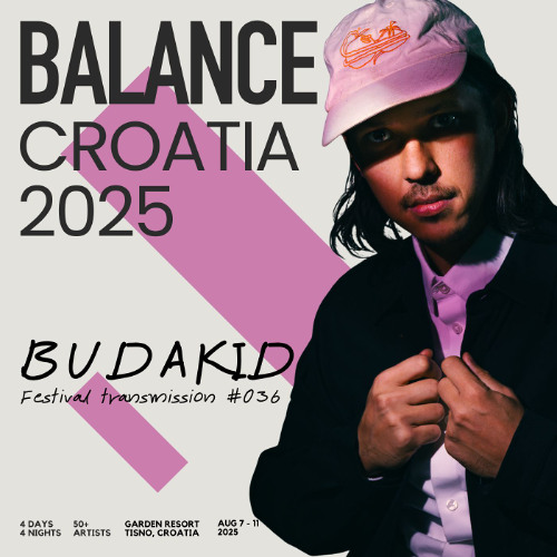 Budakid - A Conscious Distortion