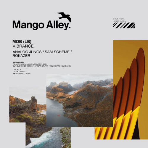 Marc Stan - Cinematic Warm Up Journey 2025-06-23