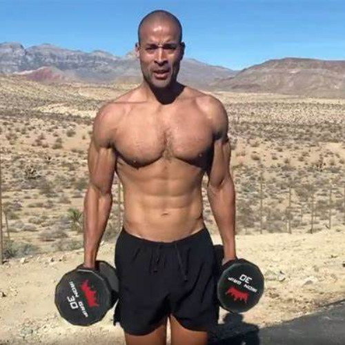 Stream MONTAGEM LOST MEDIA - DJ ZENITE (DAVID GOGGINS) by thgzin ...