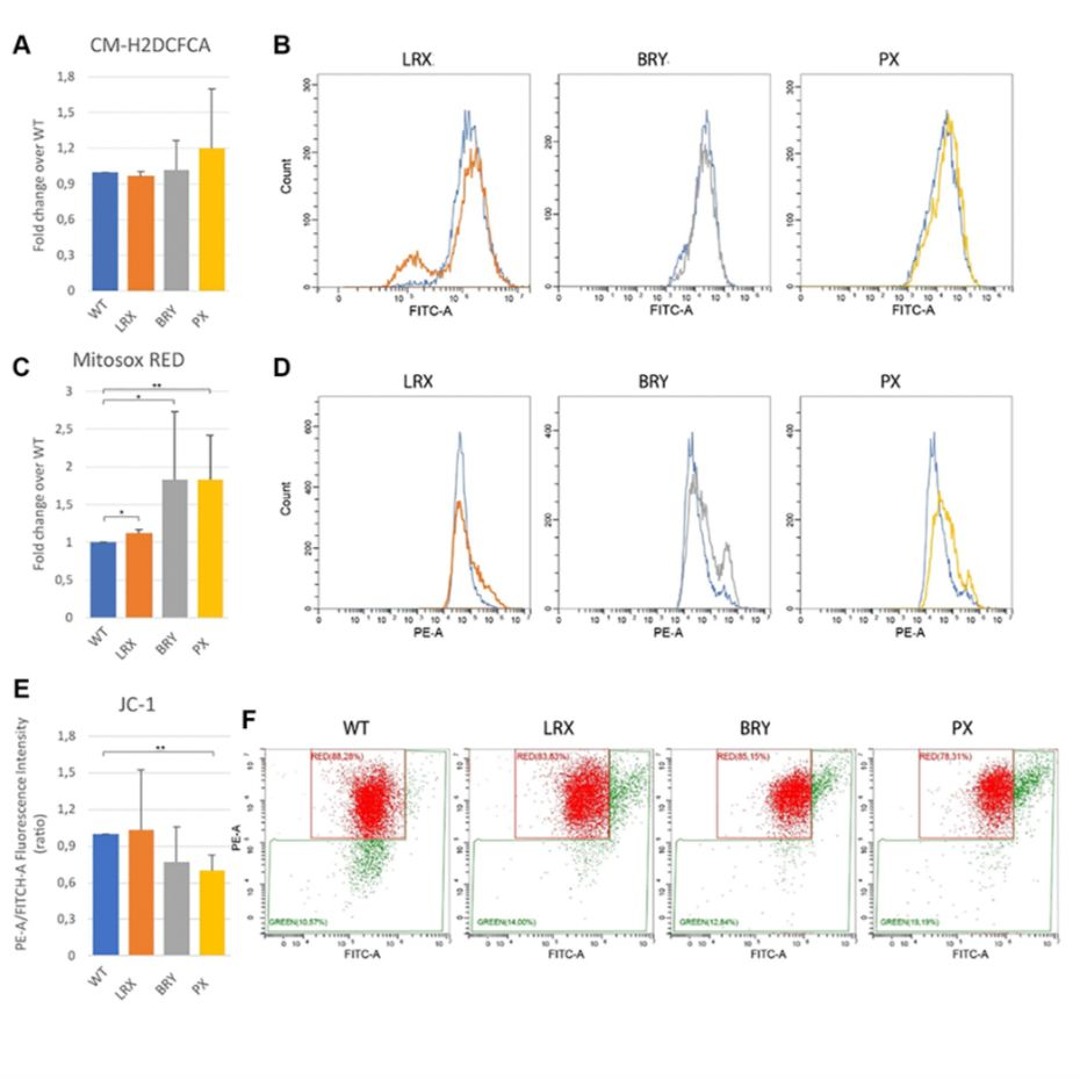 Stream episode When Do Pathological Signs Appear? Human Mesenchymal ...