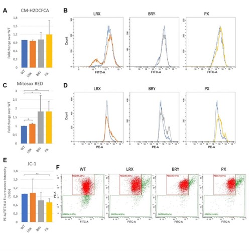 Stream episode When Do Pathological Signs Appear? Human Mesenchymal ...