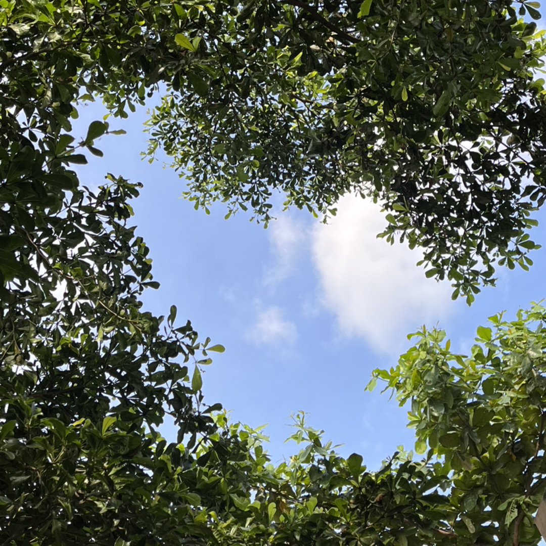 Stream Samas, 16 Jan '24 by matisyahdu | Listen online for free on ...