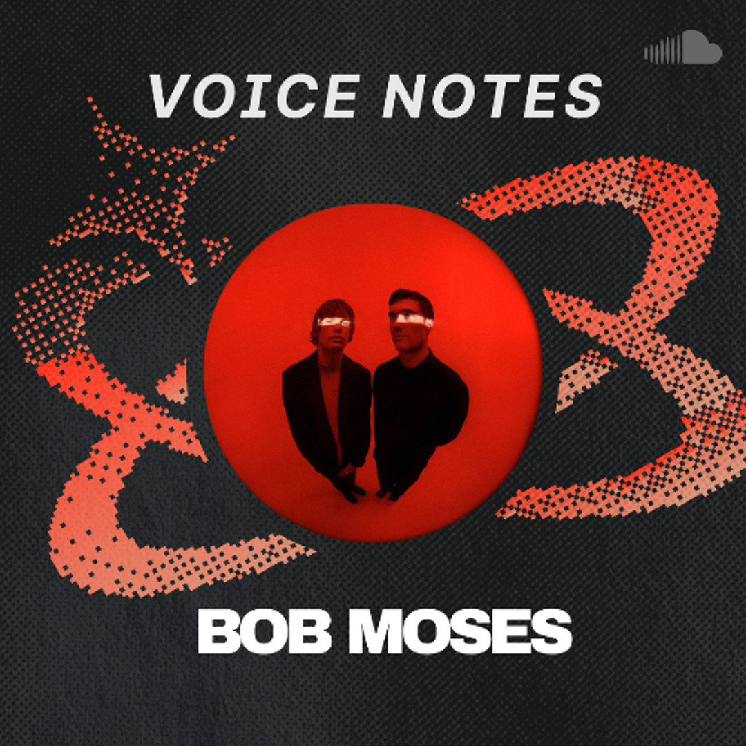 Listen to music albums featuring Voice Notes: Bob Moses on "Blink" by ...