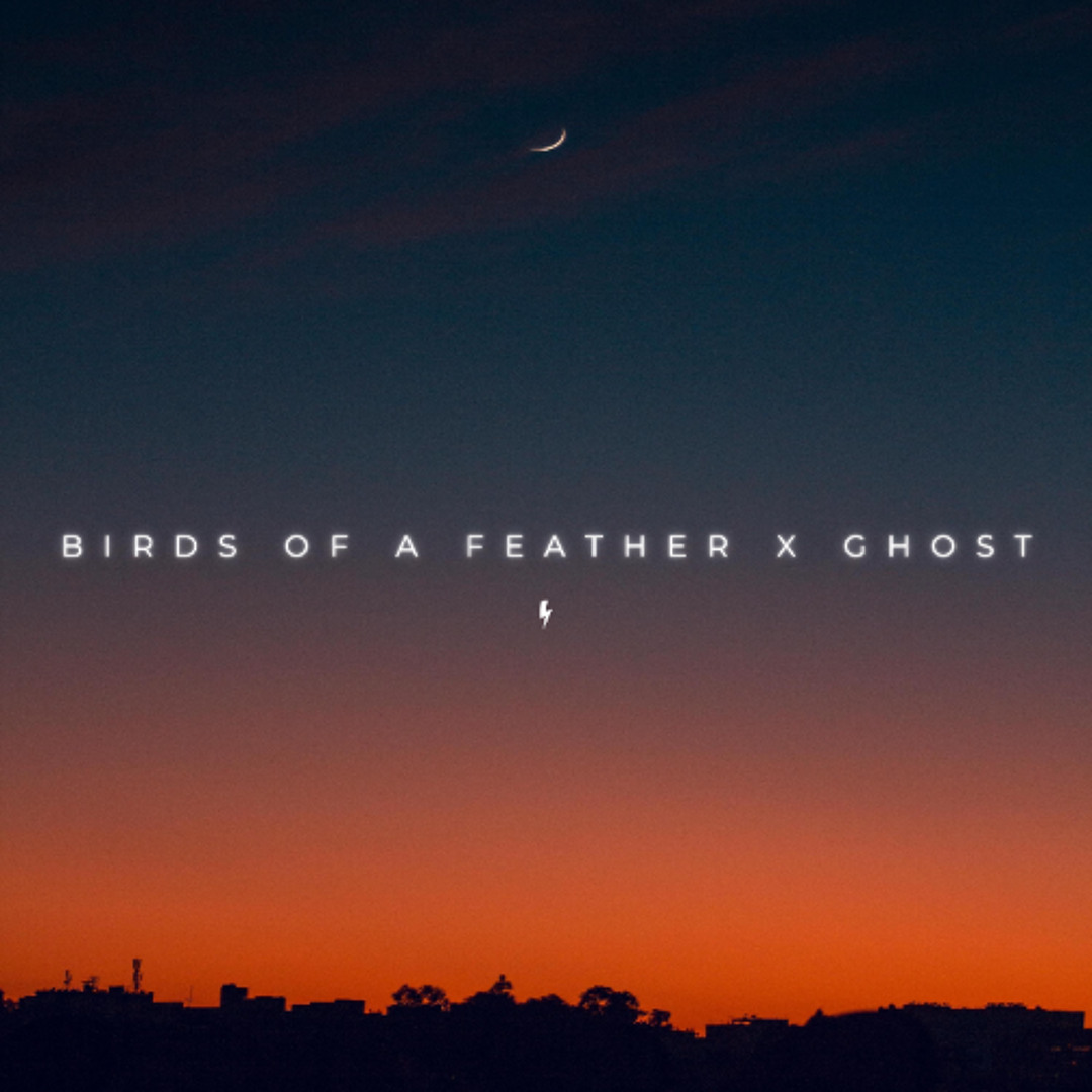 Stream Billie Eilish x Justin Bieber - Birds of a Feather x Ghost (TURBOCHARGED TITANS Mashup ...