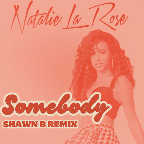 Stream Somebody - Natalie La Rose (SHAWN B Disco Remix) by SHAWN B | Listen online for free on ...