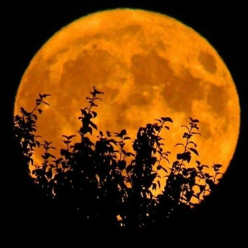 Stream Happier(Bastille,Marshmello)-Cover by Delchan | Listen online ...