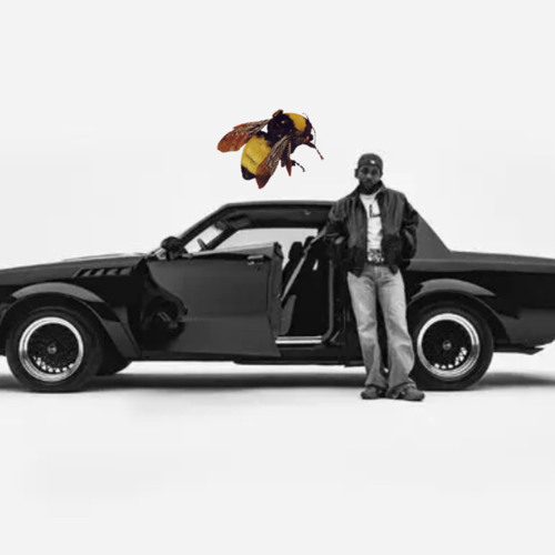 Stream MUSIC LIVES HERE (Follow For New Music Updates) | Listen to ...