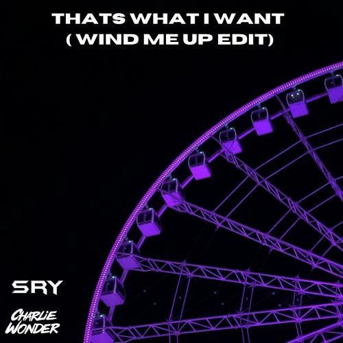 Stream THAT'S WHAT I WANT (CharlieWonder & SRY 'Wind Me Up' Edit) by ...