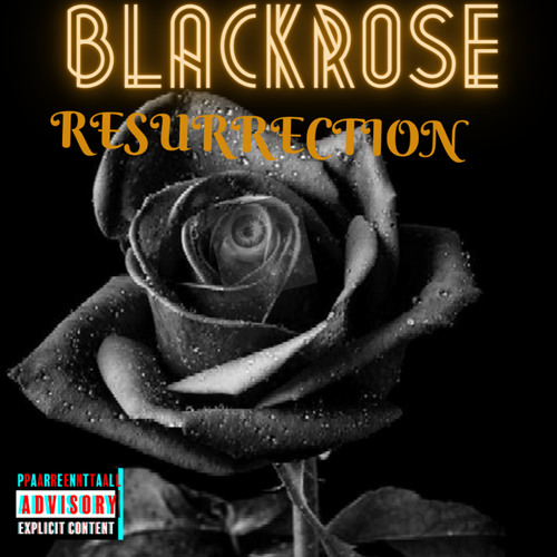 Stream Intro By Black Rose Listen Online For Free On Soundcloud