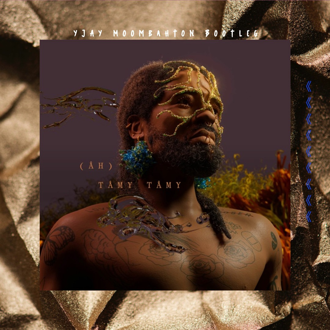 Stream Arif Murakami & Karpe - Tåmy, Tåmy (YJAY Moombahton Bootleg ...