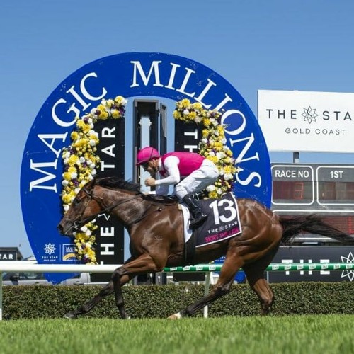 Stream episode 2024 Magic Millions Preview by Racing & Sports Podcasts podcast | Listen online ...
