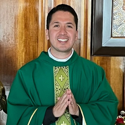 Stream Fr. Luis Pablo: 'Be open to what God has in store for you' by ...