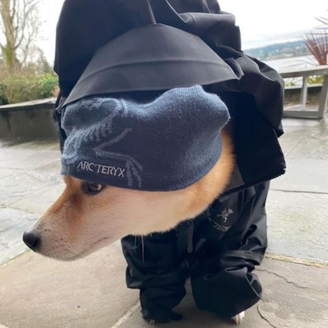 Stream SMURFING (lxy4h) by C!RCUIT | Listen online for free on SoundCloud