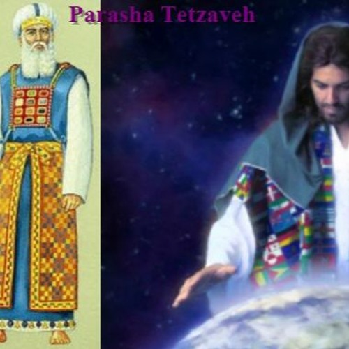 Stream Parasha Tetzaveh 5783 - I Cohen, Sacerdoti Di Diverso Tipo - Il ...