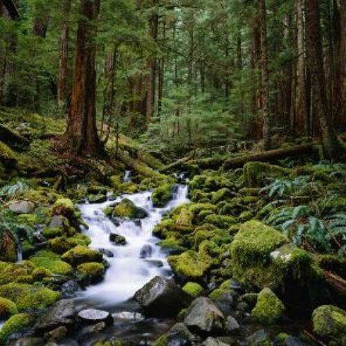 Stream Colm Mc Cormick: ‘The Song of Wandering Aengus’ by WB Yeats ...