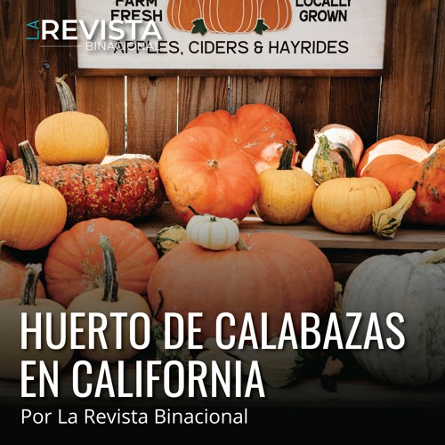 Stream episode Huertos de Calabazas en California by La Revista ...